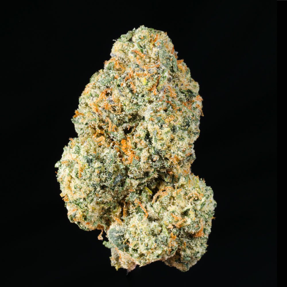 BOLO Runtz THCA Flower – Lost In Translation