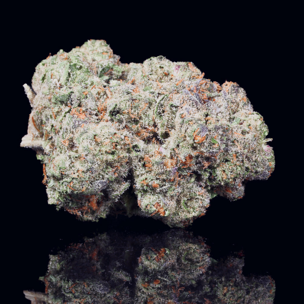 Black Runtz THCA Flower – Lost In Translation