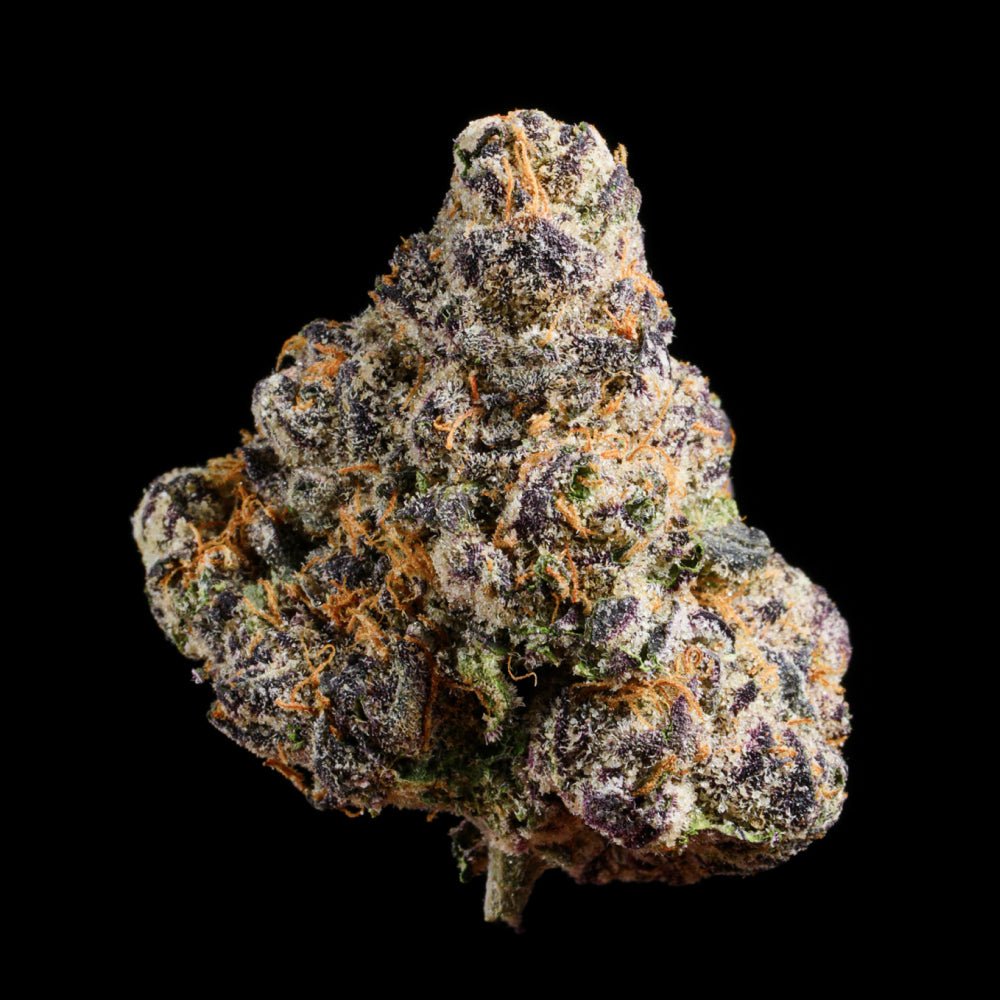 Blue Nerds THCA Flower – Lost In Translation