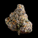 Blue Nerds THCA Flower – Lost In Translation