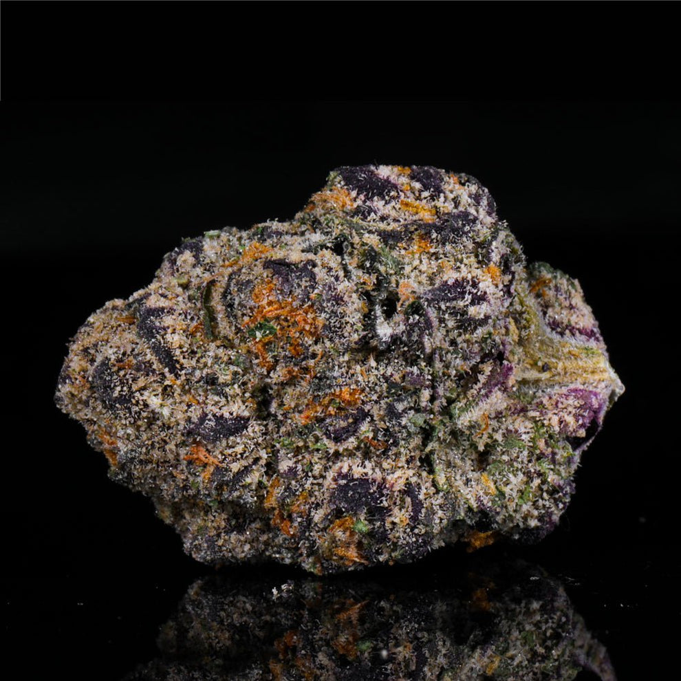 Blueberry Pancakes THCA Flower – Lost In Translation