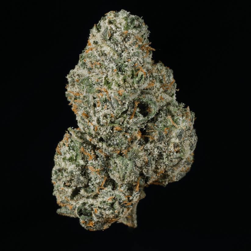 Candy Runtz THCA Flower – Lost In Translation