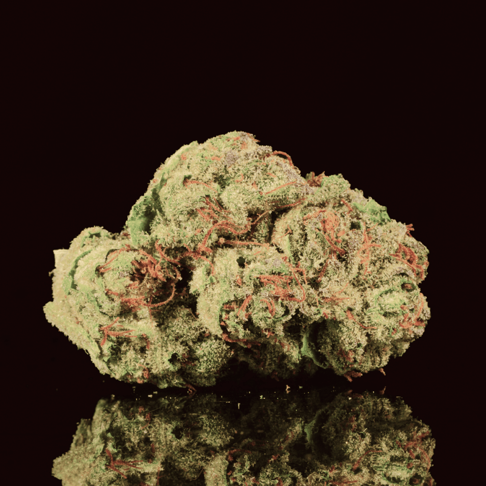 Cereal Milk THCA Flower – Lost In Translation