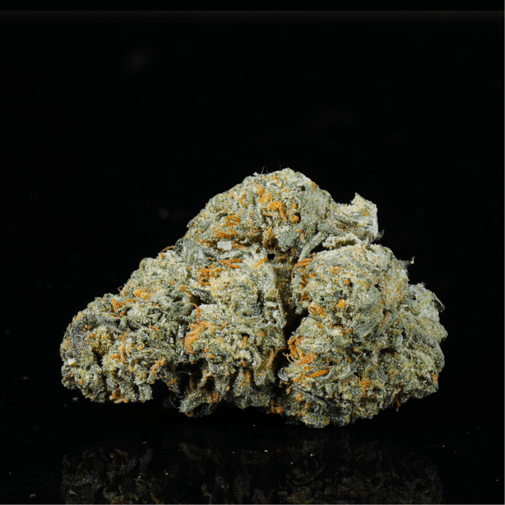 Dirty Cake THCA Flower – Lost In Translation