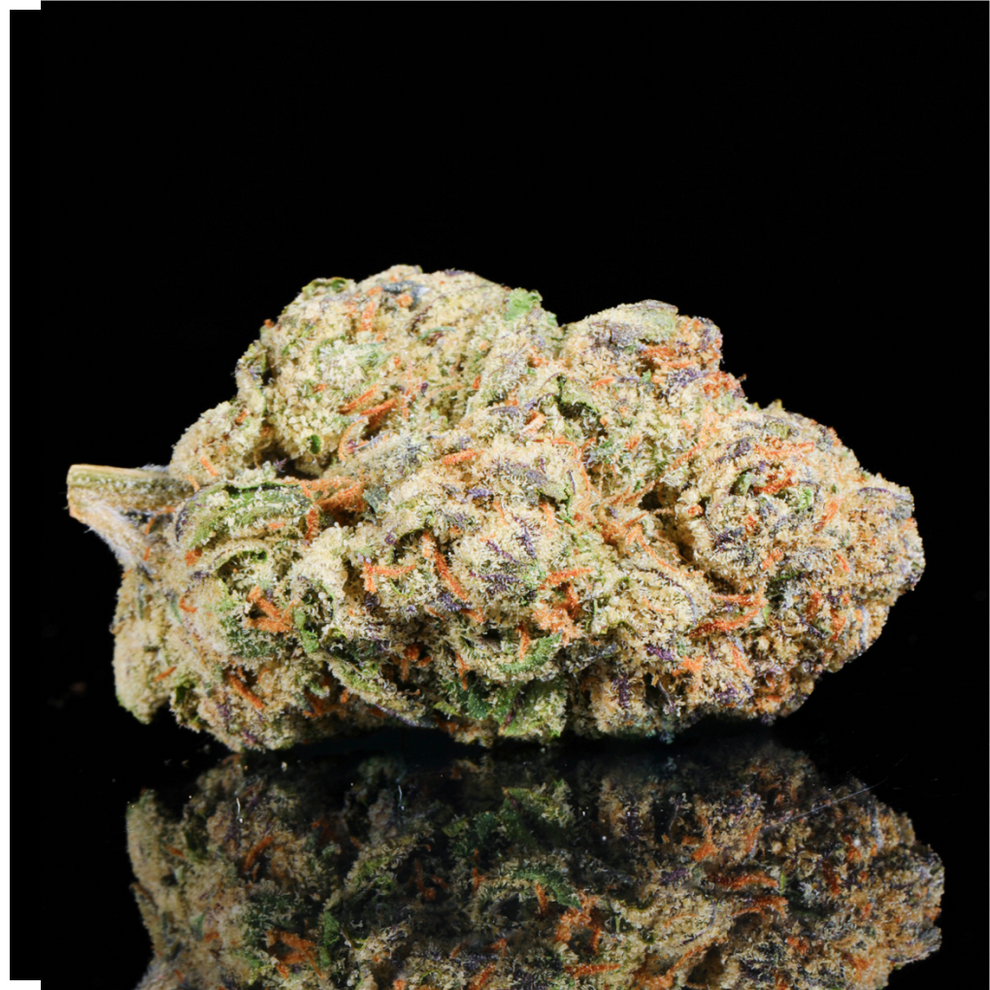 Fun Dip THCA Flower – Lost In Translation