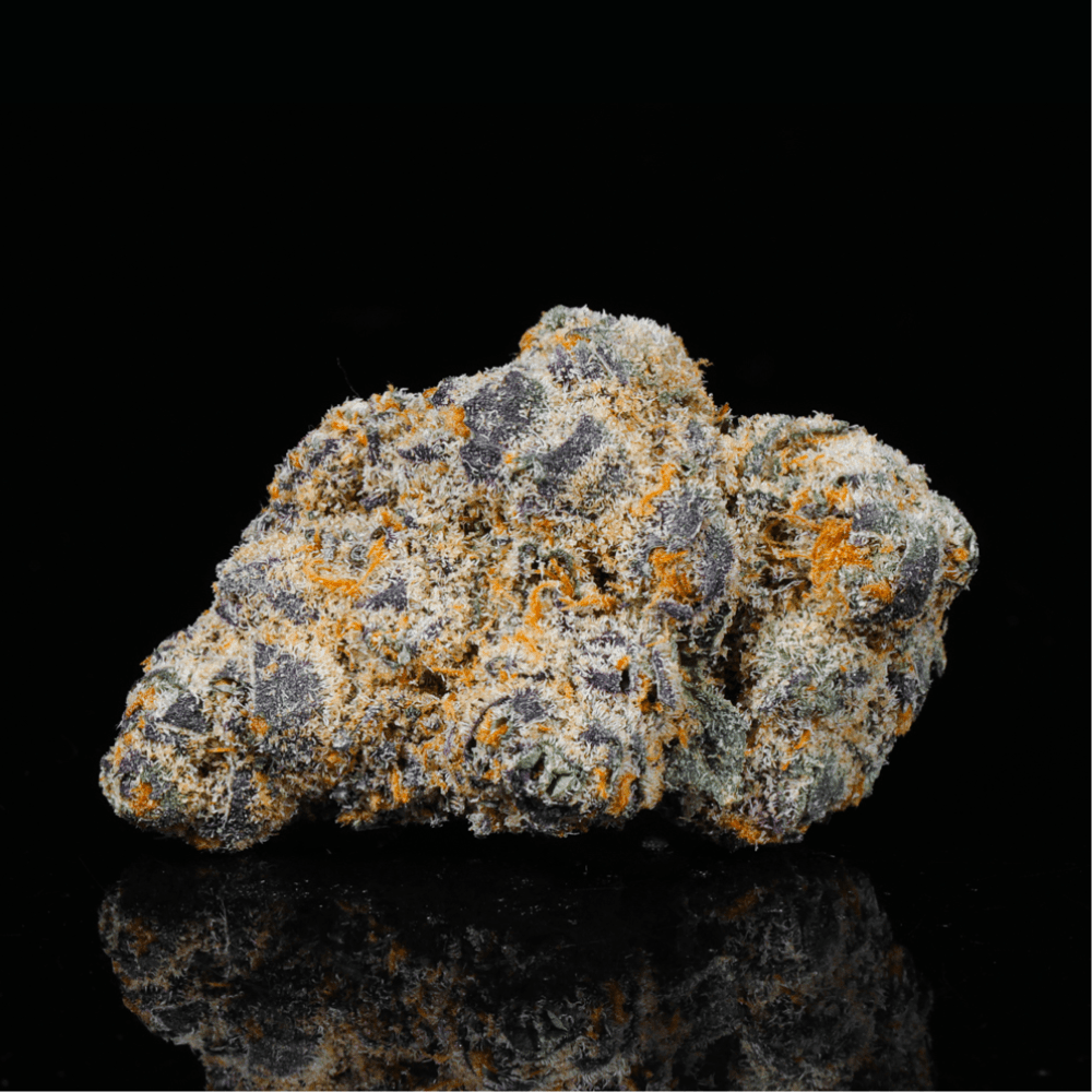 Gastro Pop THCA Flower – Lost In Translation