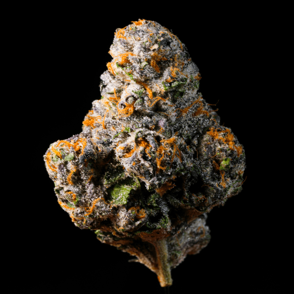 Gelato #41 THCA Flower – Lost In Translation