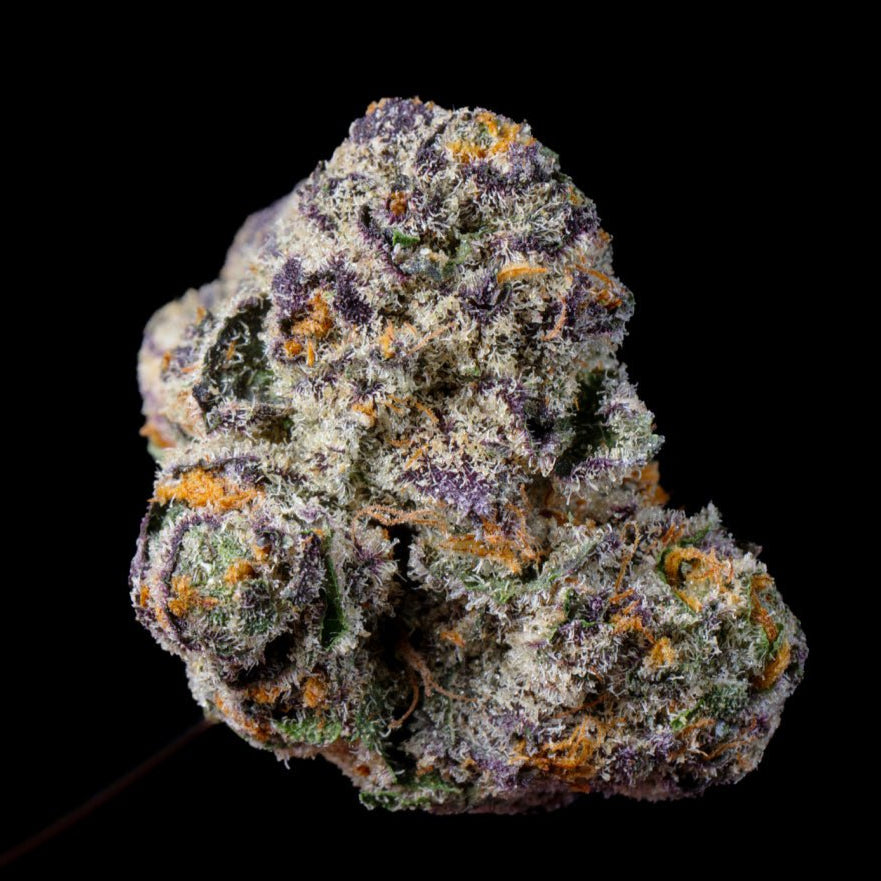 Grape Gas THCA Flower – Lost In Translation