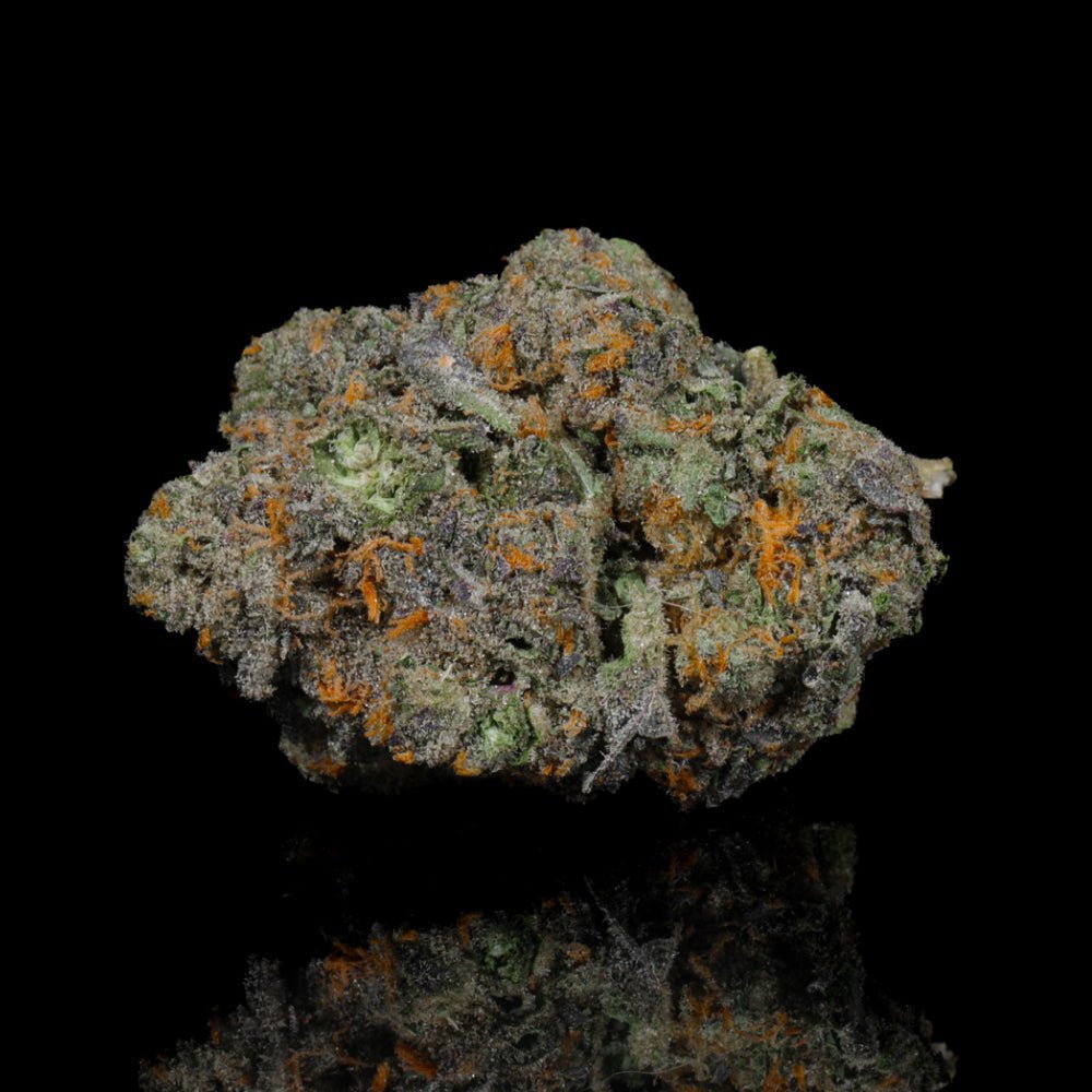 Gary Payton THCA Flower – Lost In Translation