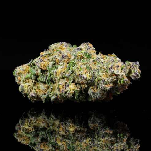 Gush Mintz THCA Flower – Lost In Translation