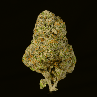 Joker's Candy THCA Flower – Lost In Translation