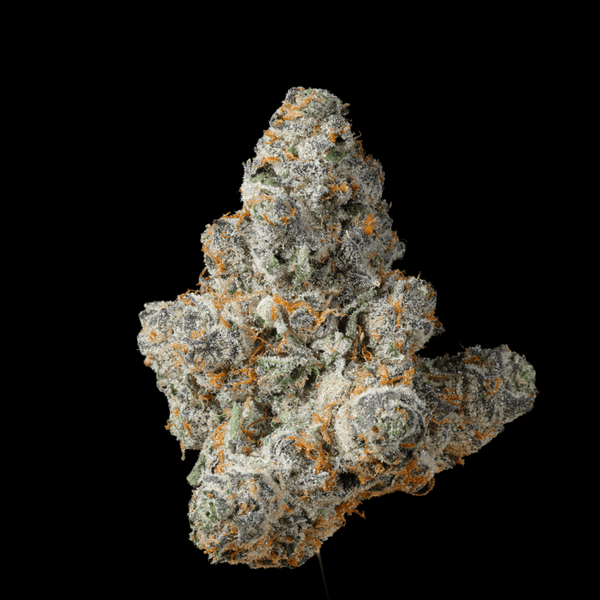 Joker's Candy THCA Flower – Lost In Translation