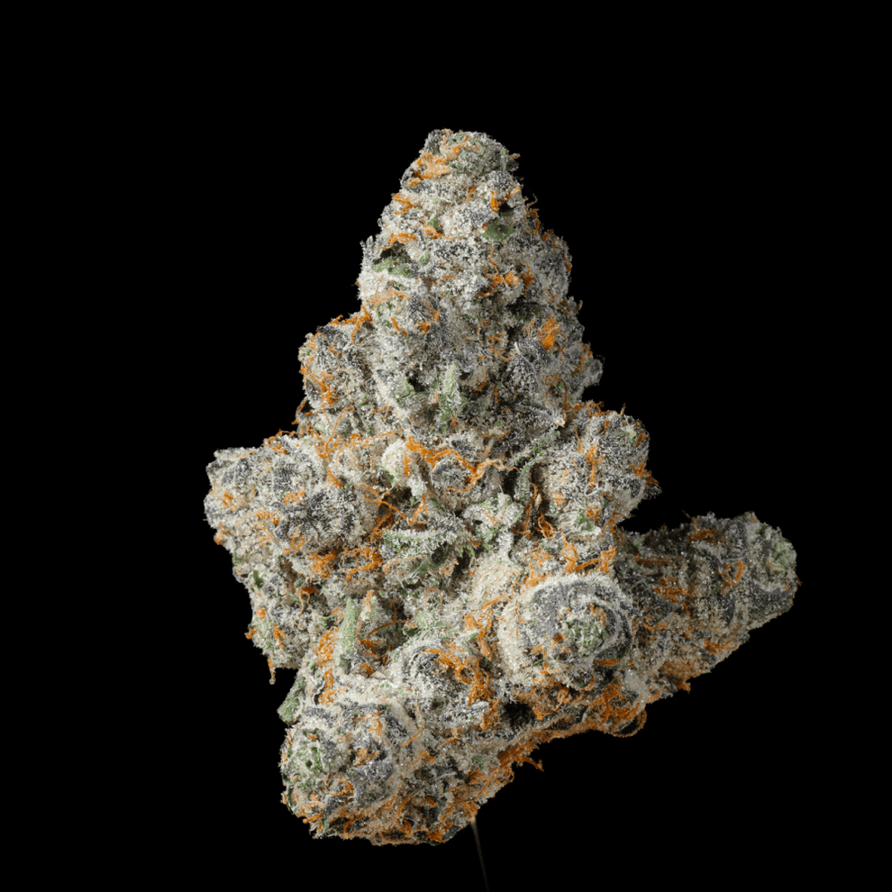 Joker's Candy THCA Flower – Lost In Translation