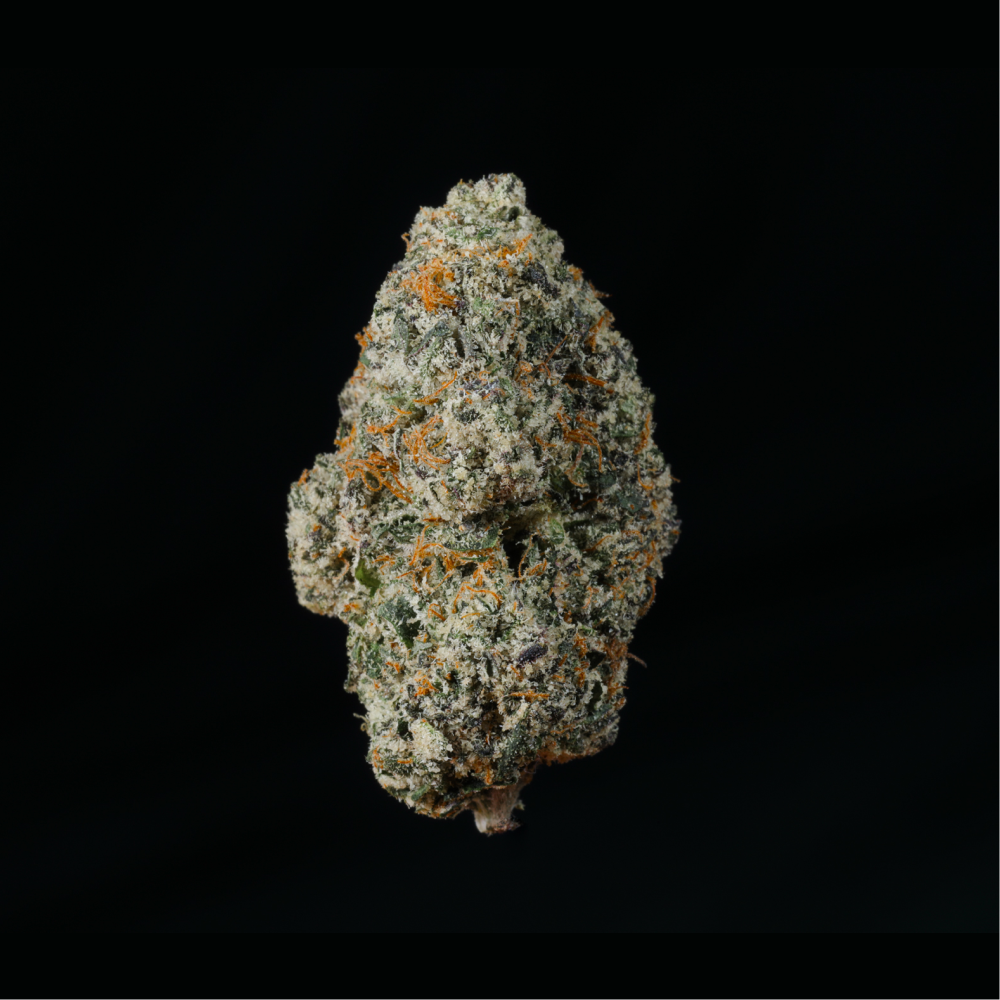Lemon Cherry Gelato THCA Flower – Lost In Translation