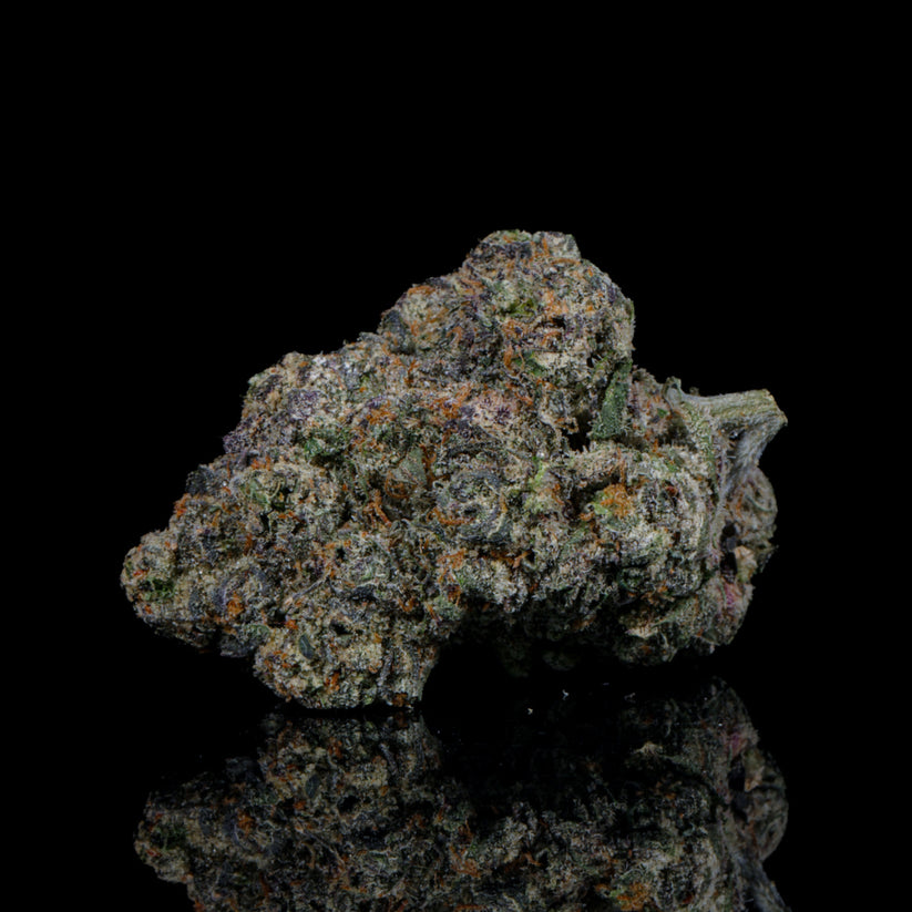 Lemon Cherry Gelato THCA Flower – Lost In Translation