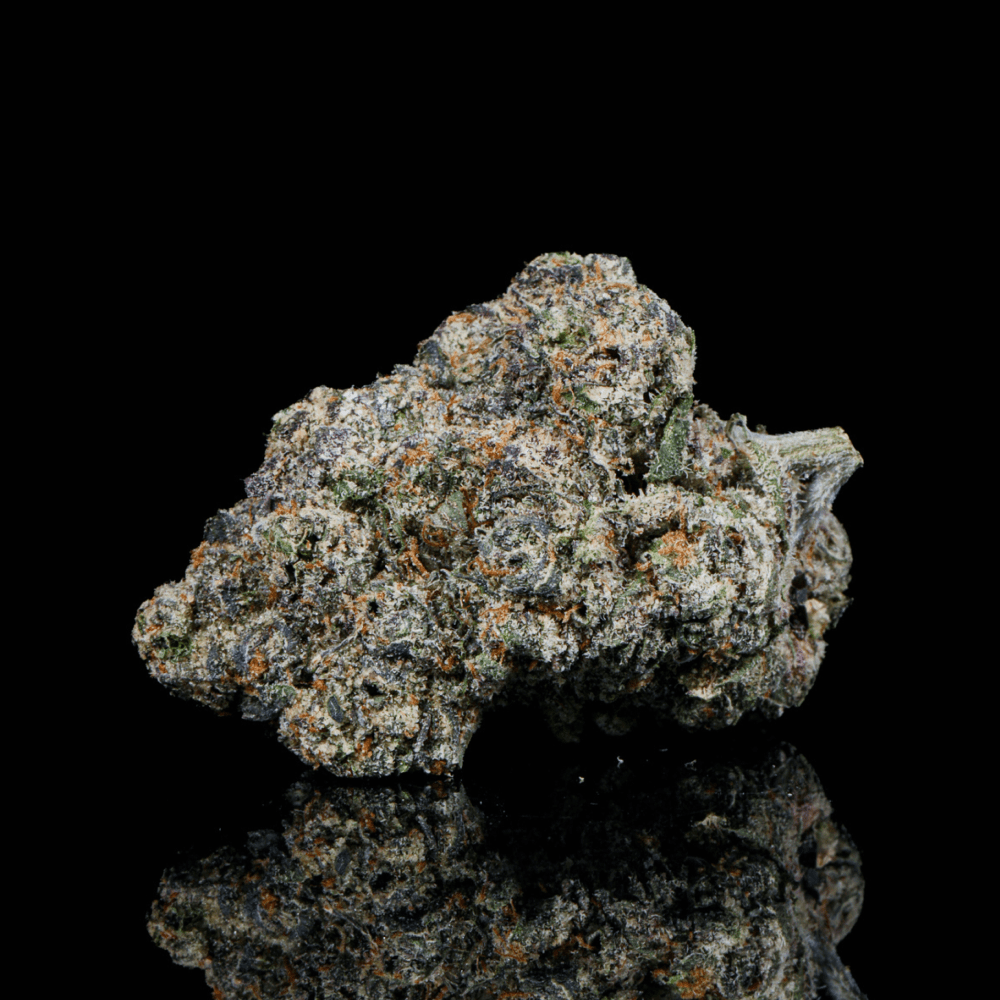 Lemon Cherry Gelato THCA Flower – Lost In Translation