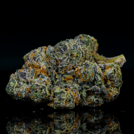 Lemon Cherry Gelato THCA Flower – Lost In Translation