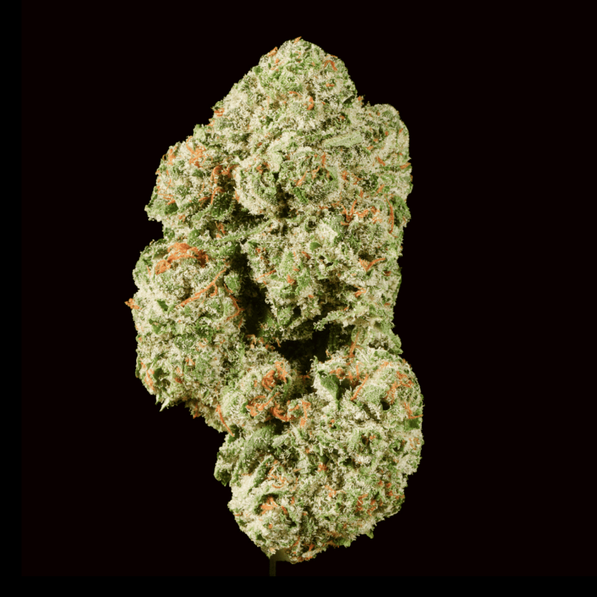 Gorilla Butter THCA Flower – Lost In Translation