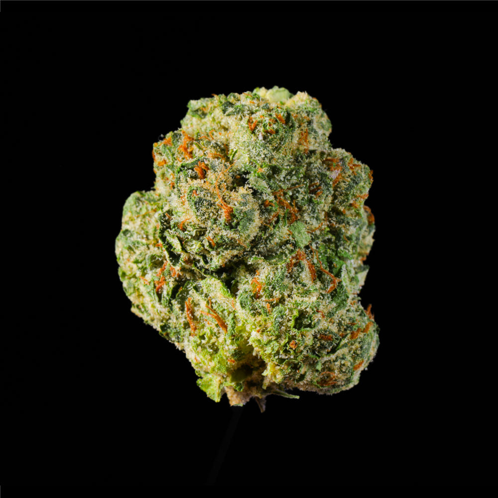 Marshmello THCA Flower – Lost In Translation