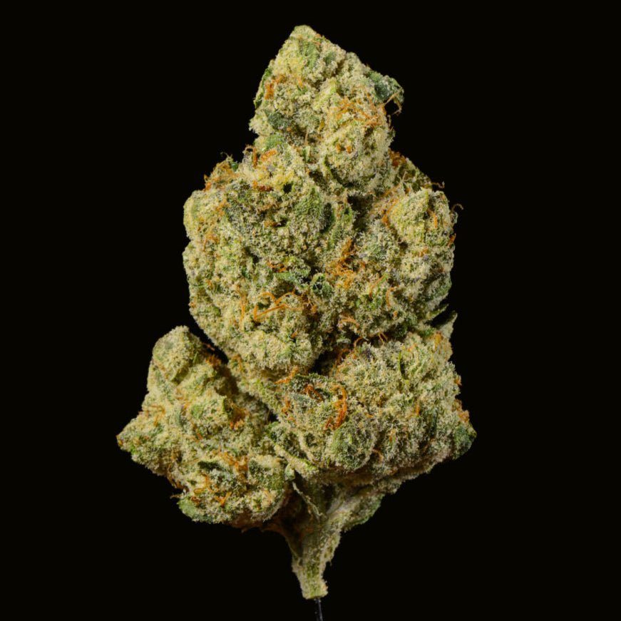 Mule Fuel THCA Flower – Lost In Translation