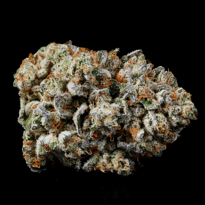Obama Runtz THCA Flower – Lost In Translation