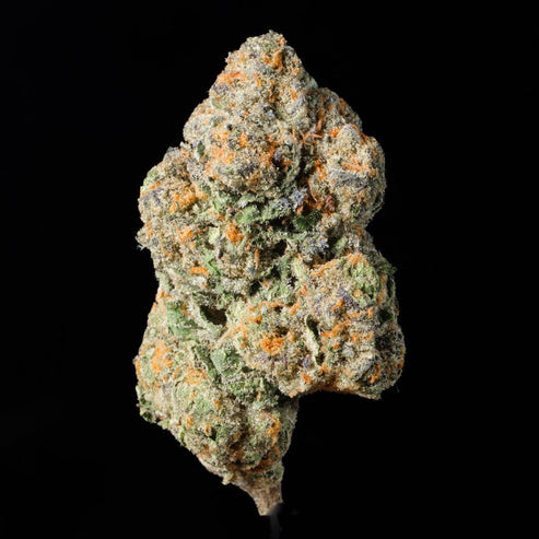 Melon Runtz THCA Flower – Lost In Translation