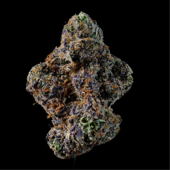 Purple Octane THCA Flower – Lost In Translation