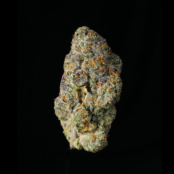 Sticky Rice THCA Flower – Lost In Translation