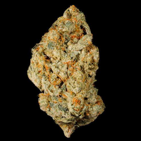 Sunset Sherbert THCA Flower – Lost In Translation