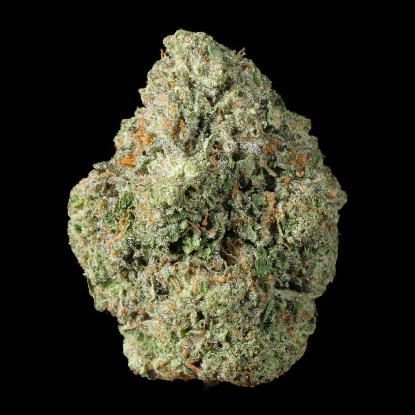 Super Boof THCA Flower – Lost In Translation