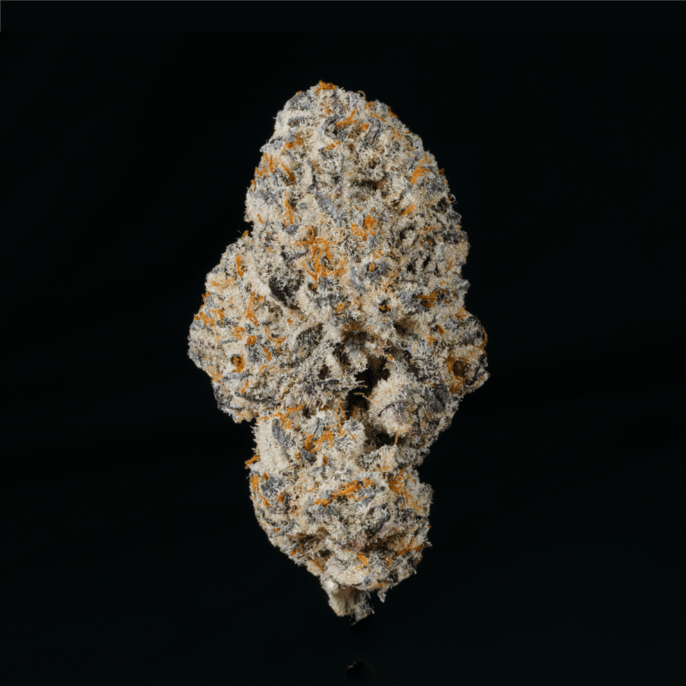 Zashimi THCA Flower – Lost In Translation