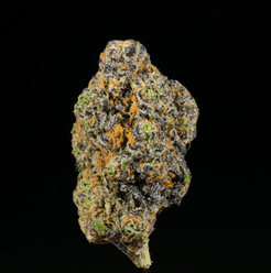 Sticky Rice THCA Flower – Lost In Translation