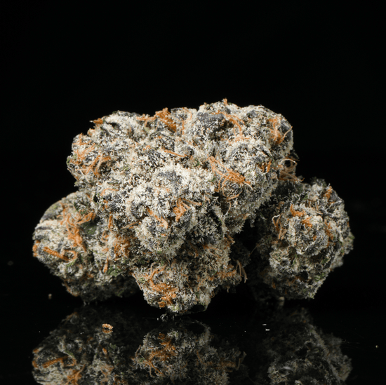 Rainbow Runtz THCA Flower – Lost In Translation