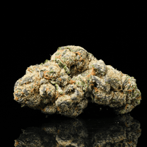 Blue Nerds THCA Flower – Lost In Translation