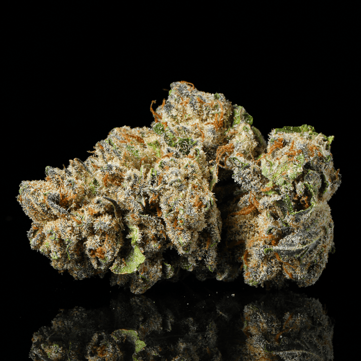 Fire Crotch THCA Flower – Lost In Translation