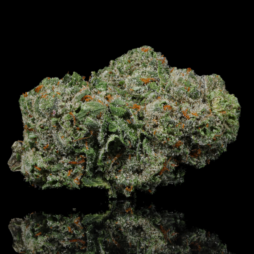 Joker's Candy THCA Flower – Lost In Translation