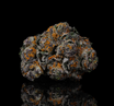 Black Runtz THCA Flower – Lost In Translation