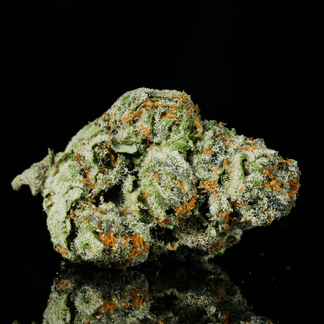 Zealousy THCA Flower – Lost In Translation