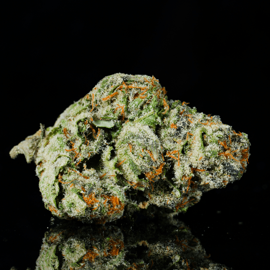 Zealousy THCA Flower – Lost In Translation