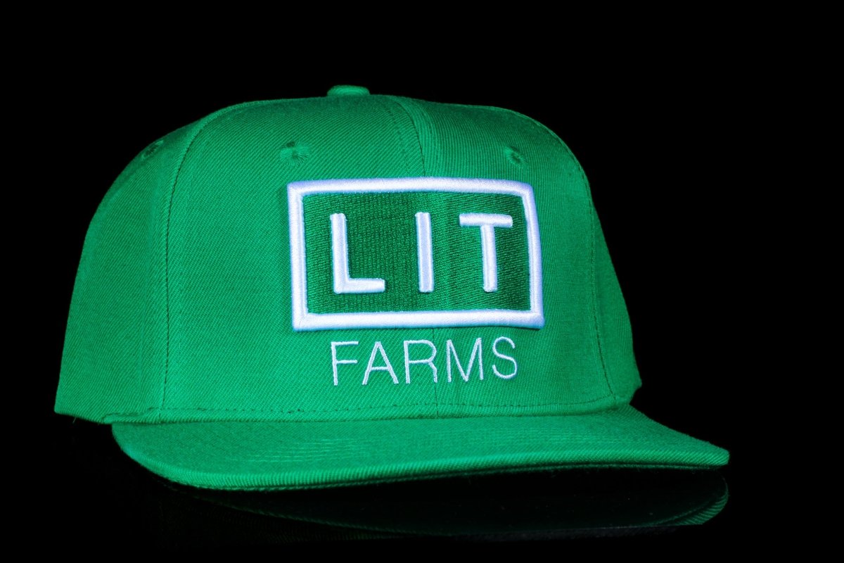 Green LIT Logo Hat – Lost In Translation