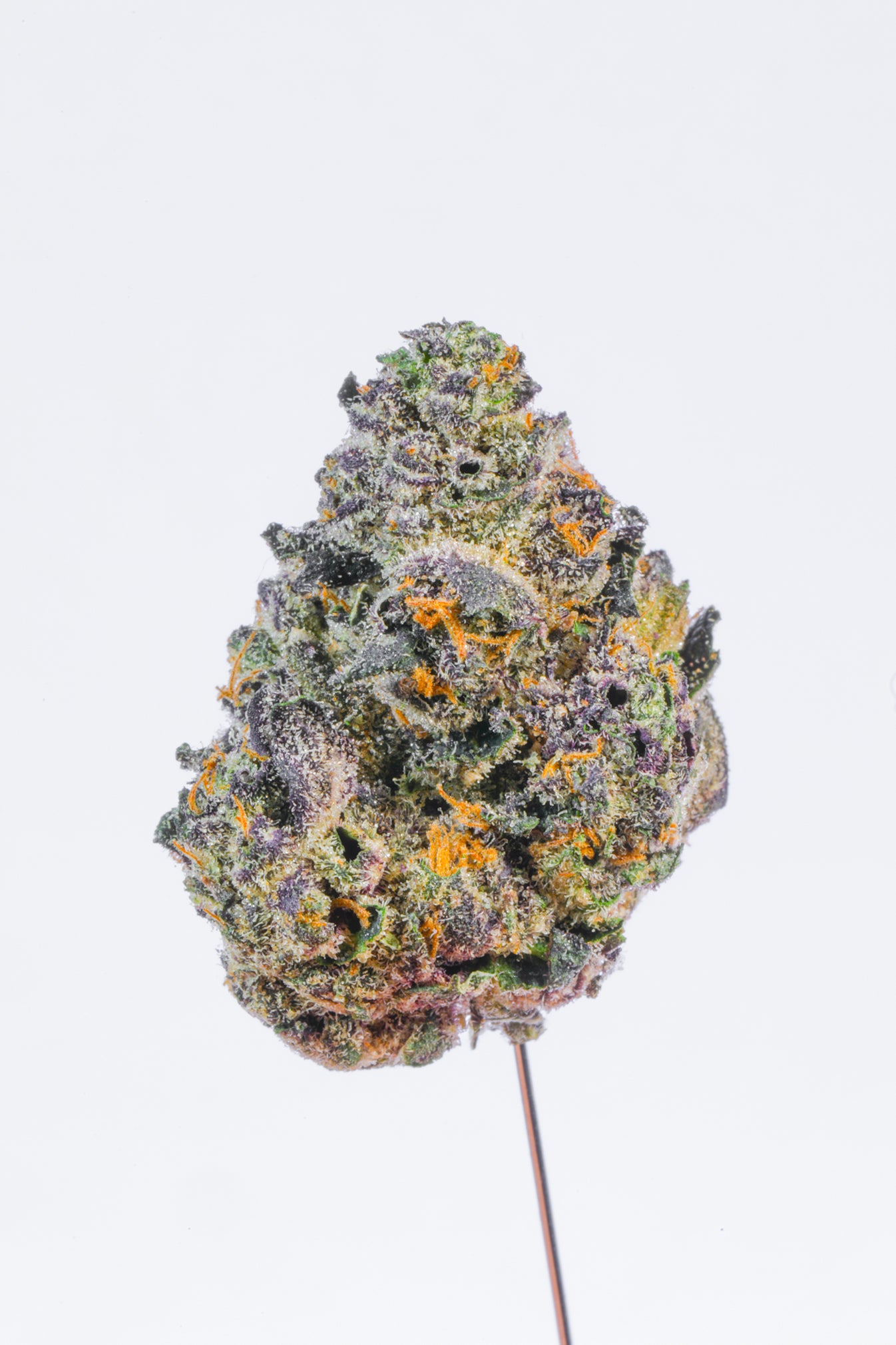 Zealousy THCA Flower – Lost In Translation