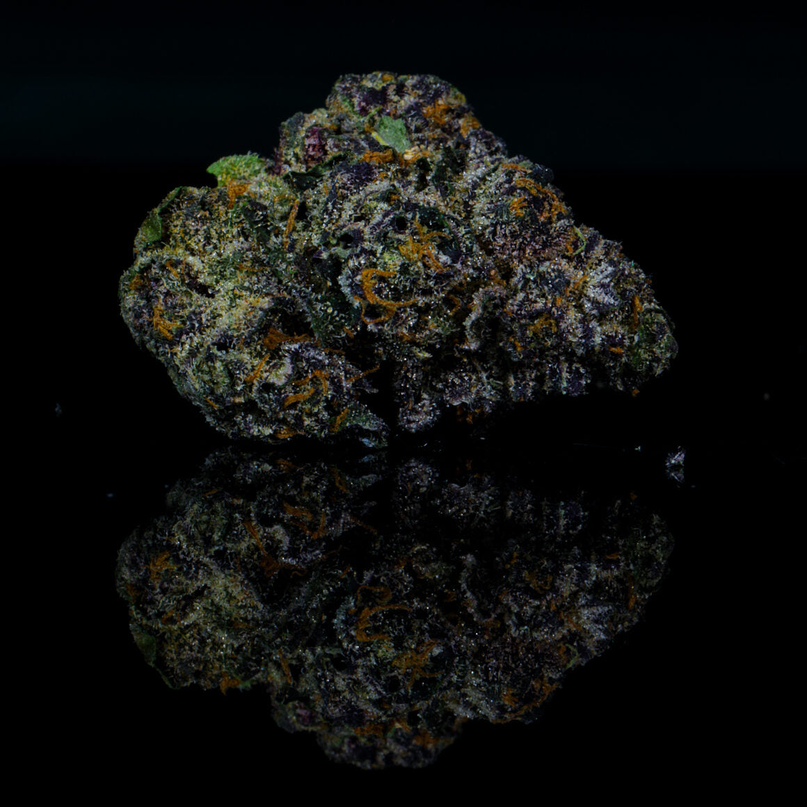 Zealousy THCA Flower – Lost In Translation