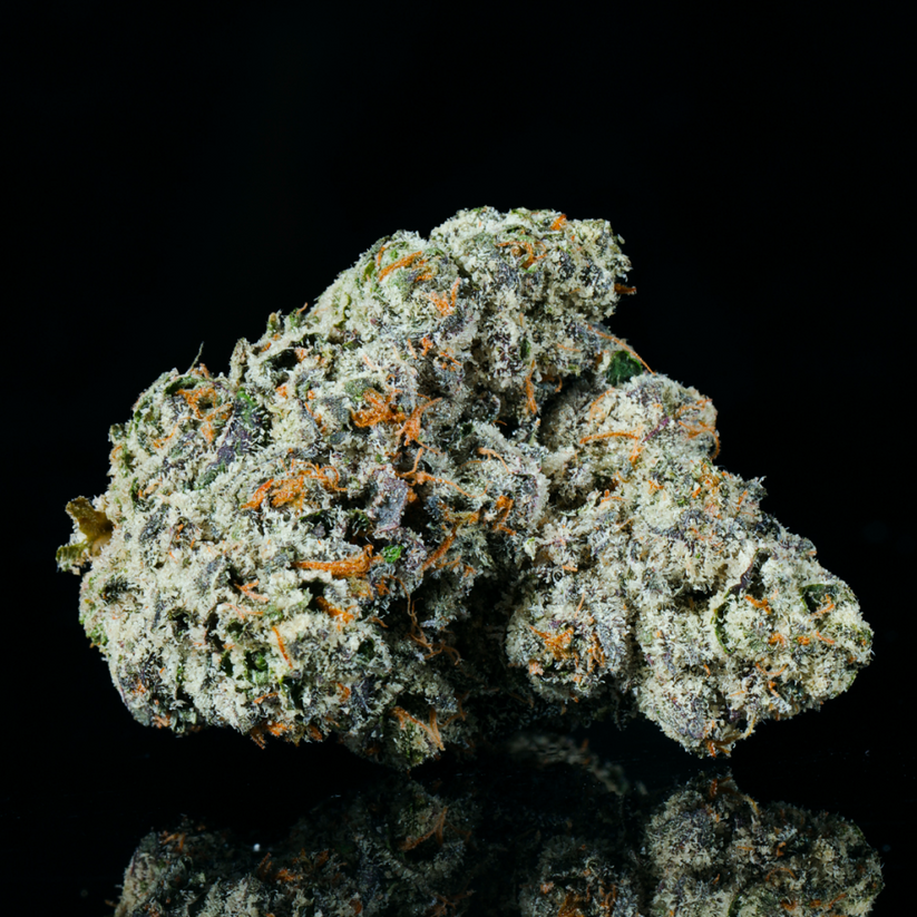 Lemon Cherry Gelato THCA Flower – Lost In Translation