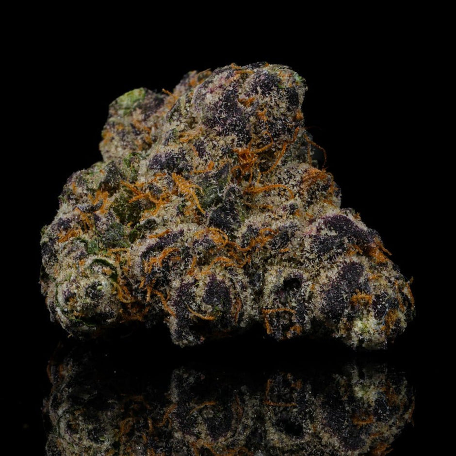 Products – Lost In Translation