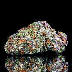 Ice Cream Runtz THCA Flower – Lost In Translation